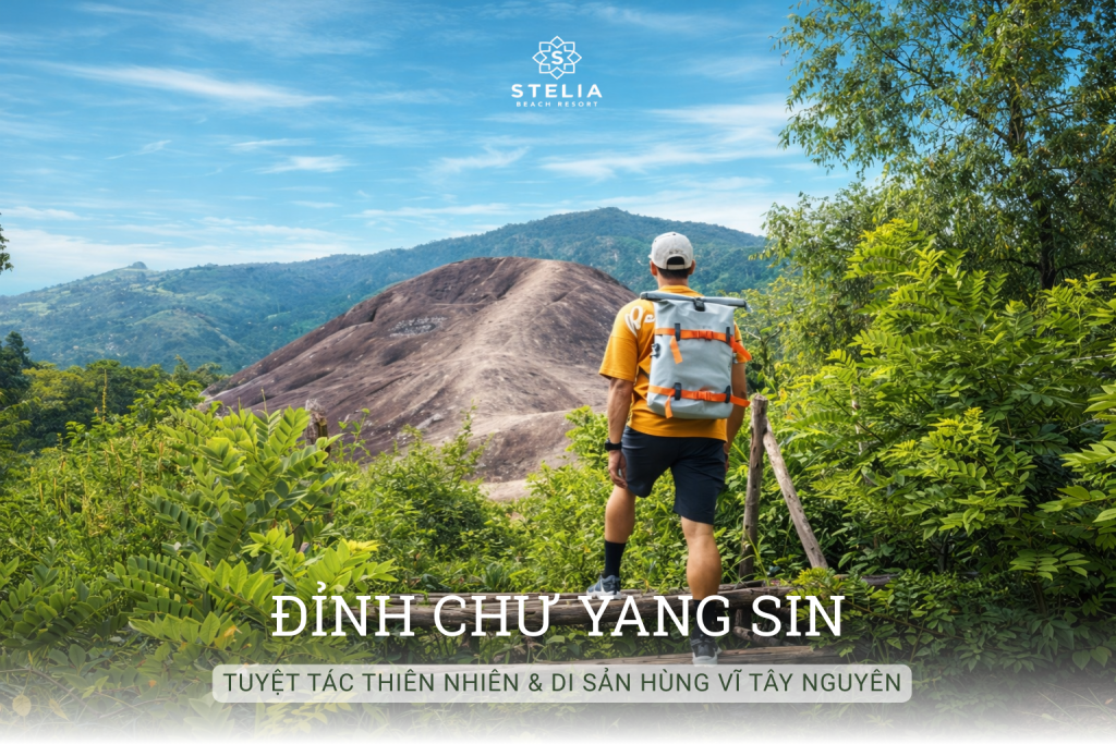 Đỉnh Chư Yang Sin (Đắk Lắk) - Tuyệt tác Thiên nhiên & Di sản Hùng vĩ ...